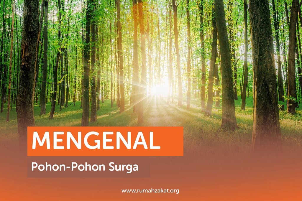 MENGENAL POHON-POHON SURGA - Rumah Zakat